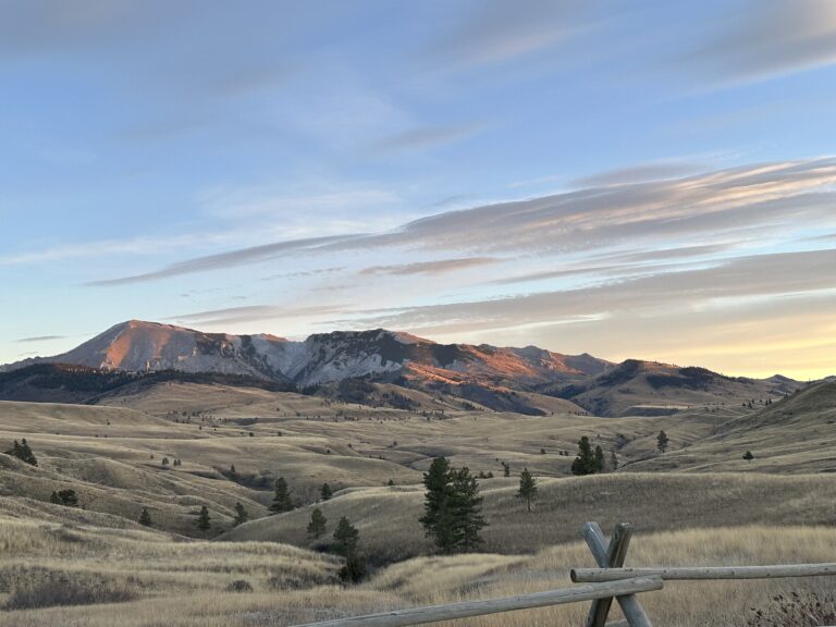 What’s New & Upgrades - 7r Ranch